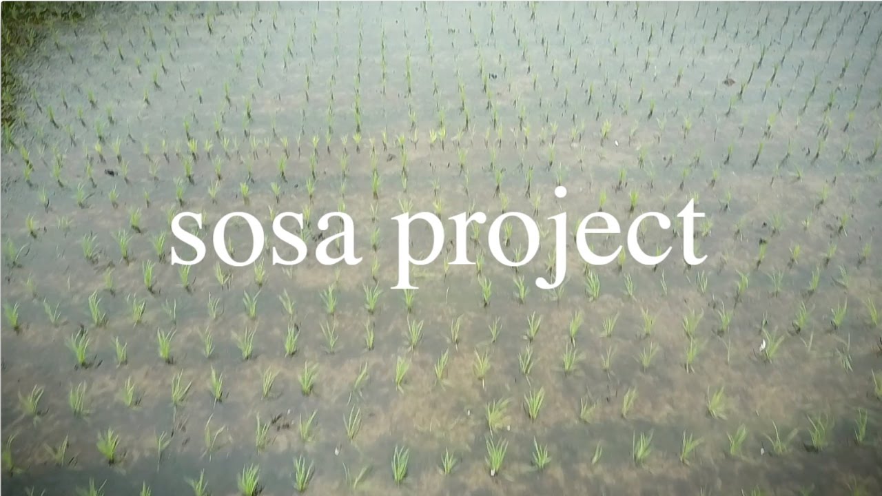 sosa project 田植え 2017 - YouTube