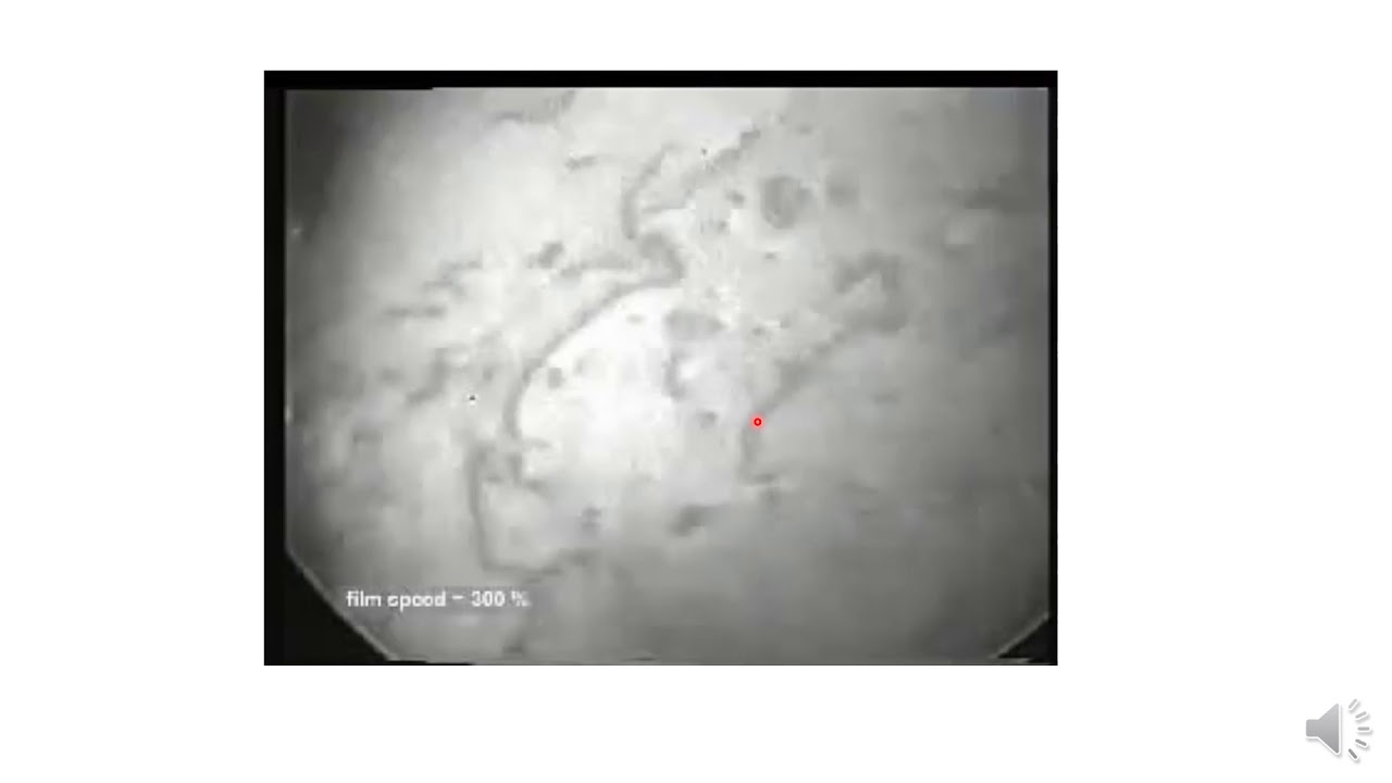 Engineering Materials_Chapter5_Dislocations and Plasticity in Metals _3 ...