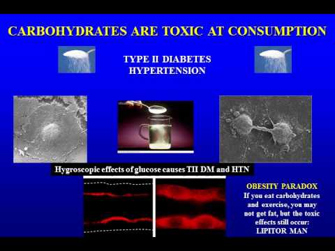 Cause and Treatment of Obesity - Lecture - YouTube