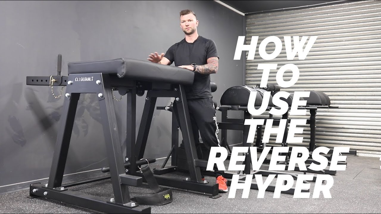 How To Use The Reverse Hyper - YouTube