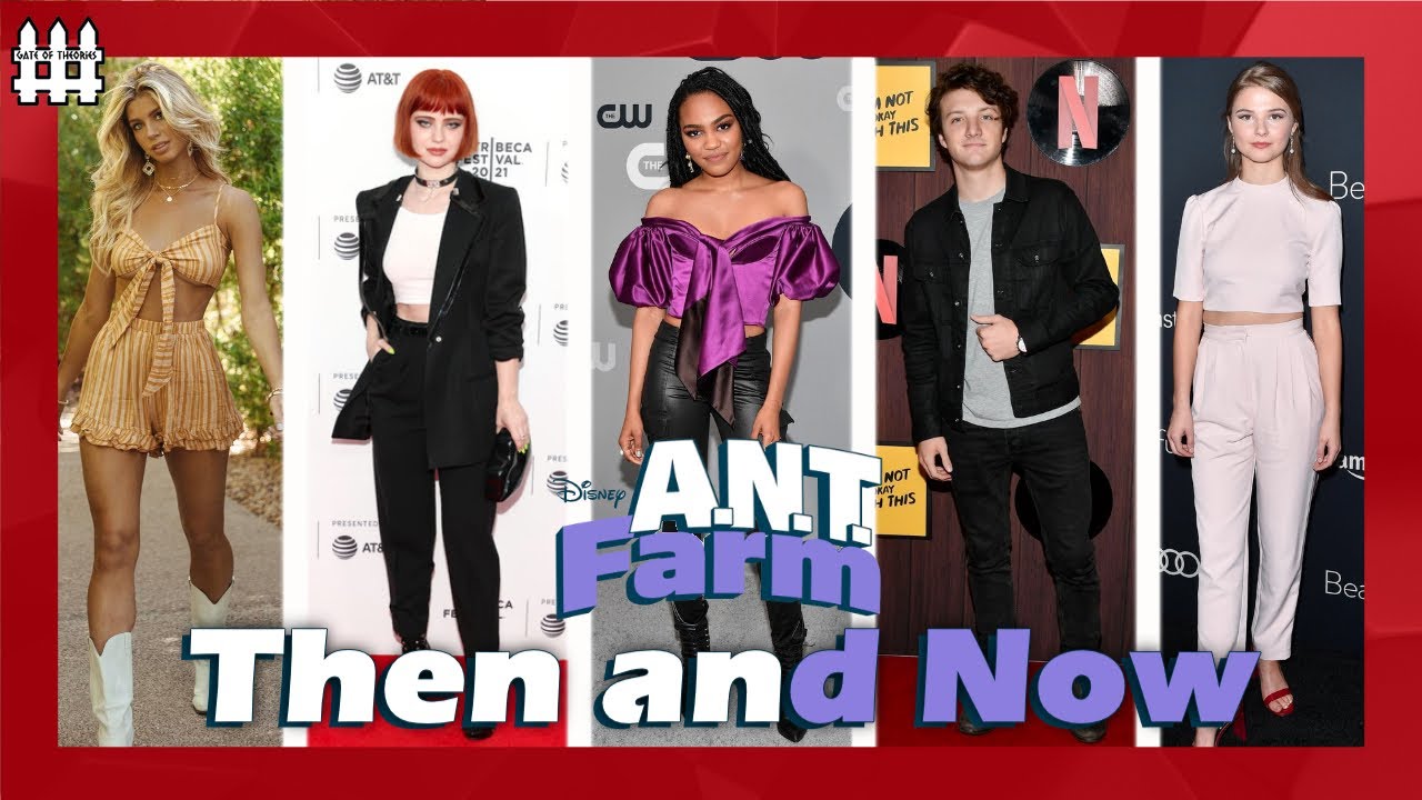 Ant Farm Then and Now 2021 - YouTube