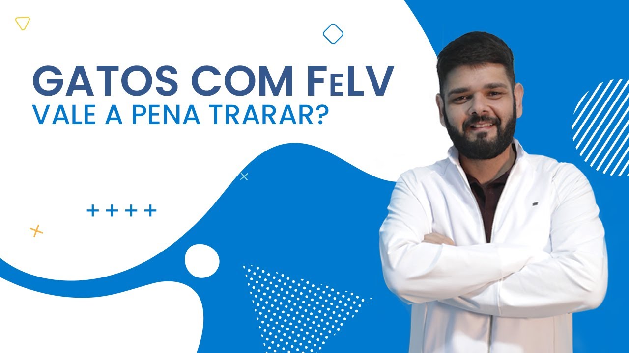 Gatos com FeLV - Como abordar esses pacientes? - YouTube