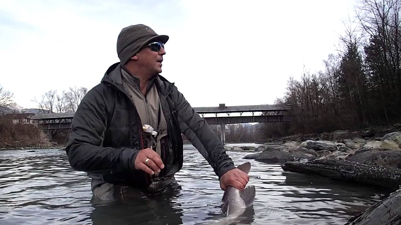 INN: Huchen // Danube Trout; Dez // Dec 2014 - YouTube