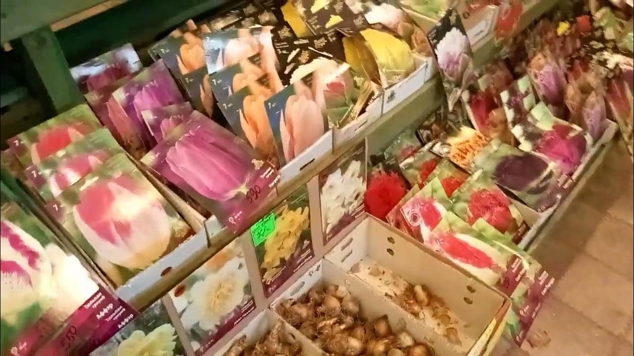 Магазин Семена Практик сада Девяткино, луковичные осень 2023 - YouTube