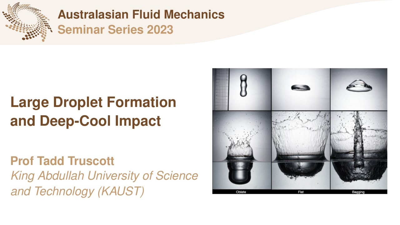 AFMS Webinar 2023 #7 - Prof Tadd Truscott (King Abdullah University of ...