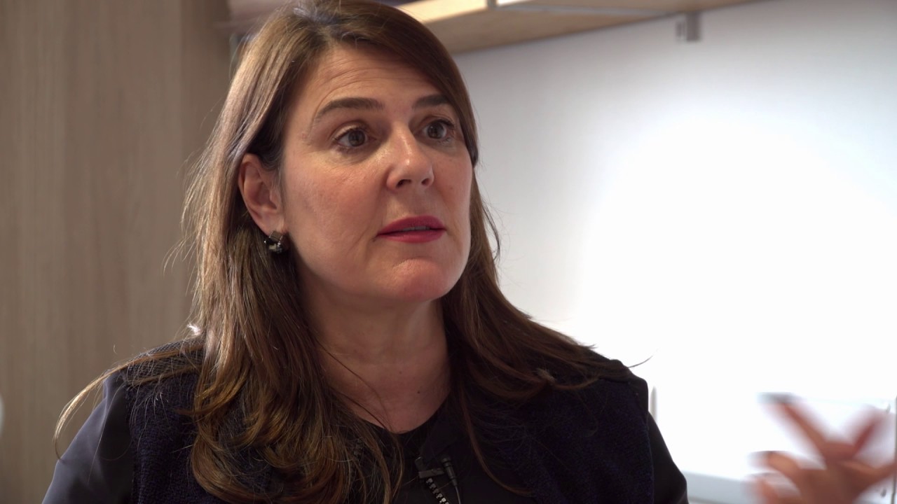 Prof. Jesse Segers interviewt Herminia Ibarra. Part 5: Different types ...