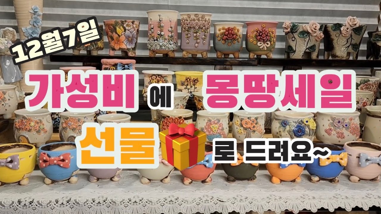 가성비에 몽땅세일 선물로 드릴께요 🎁 꽃담다육스토리예쁜화분다육식물多肉植物succulents다육이꽃담화분다육화분