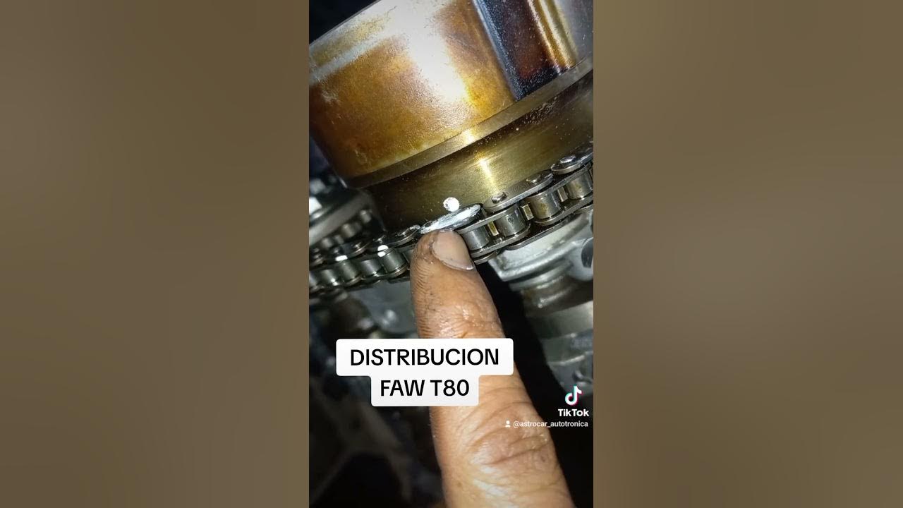 DISTRIBUCION FAW T80 - YouTube