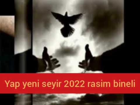 yep yeni seyir 2022 Rasim bineli