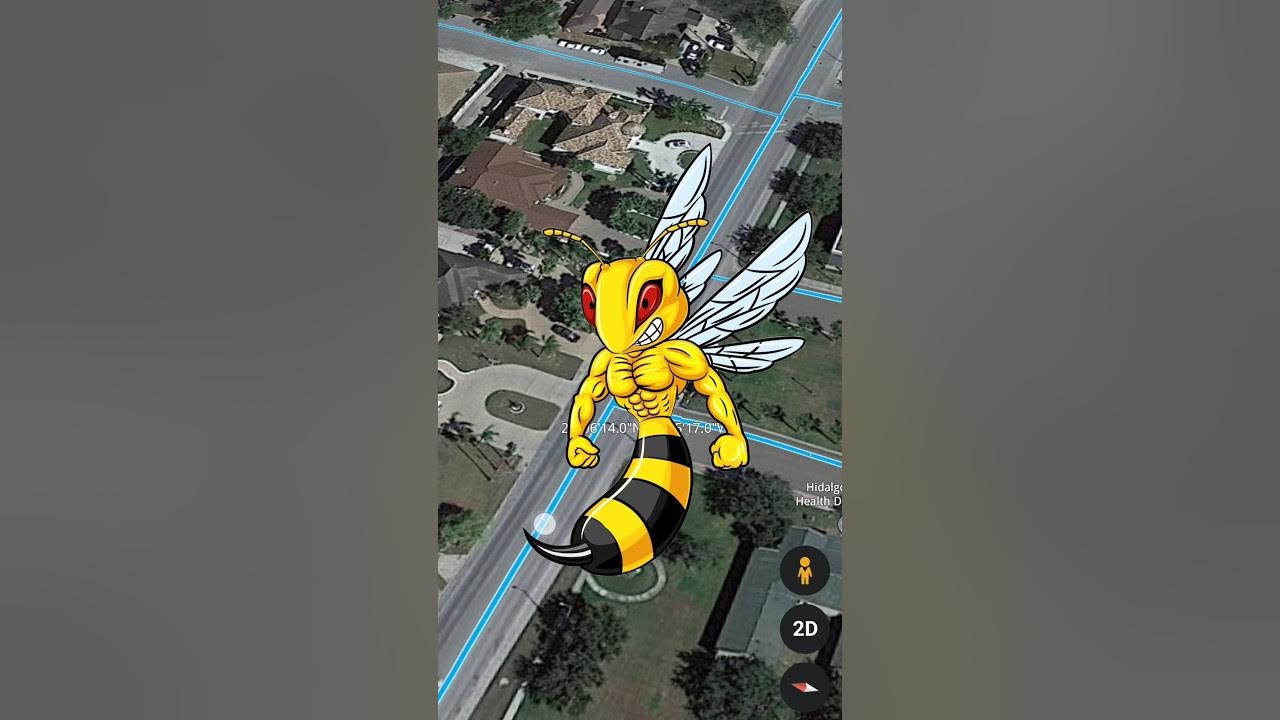 Angry Honey bee 🐝 on google earth and google maps #shorts #earth #maps ...