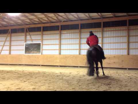 A Hot Rod Peach - 2011 bay AQHA filly - YouTube