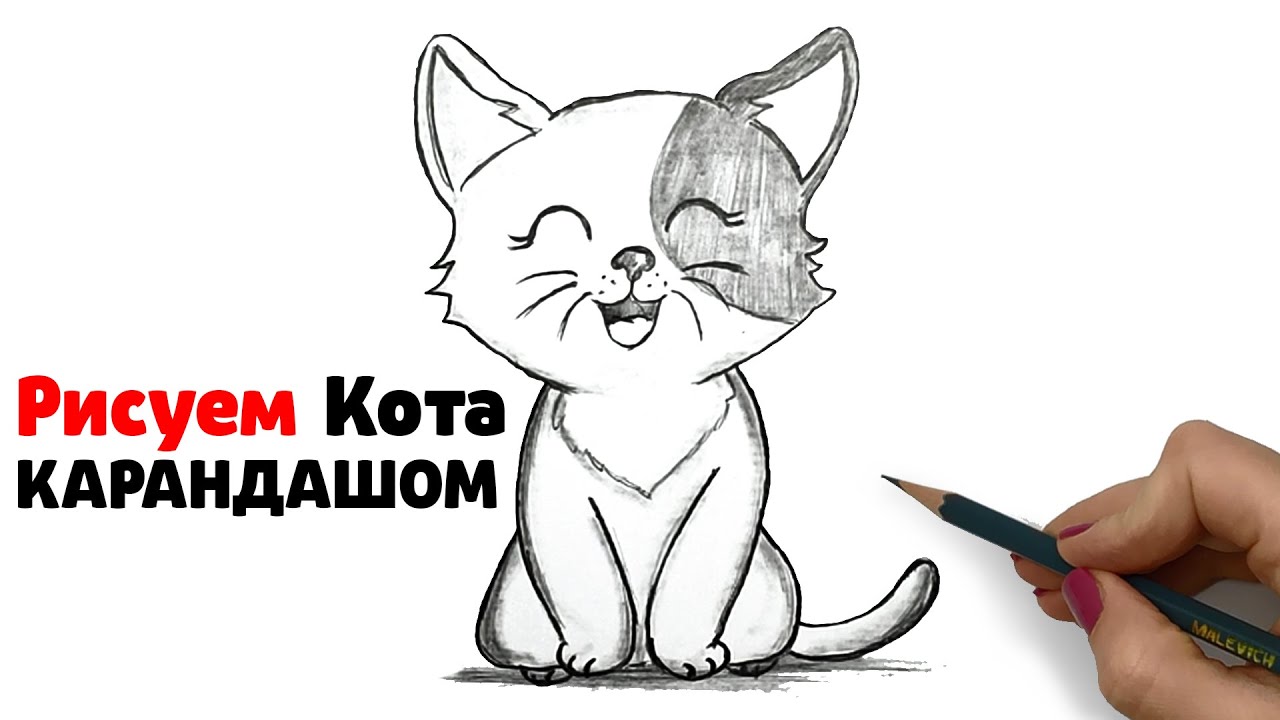 Как нарисовать Кота простым карандашом Скетч котика карандашом