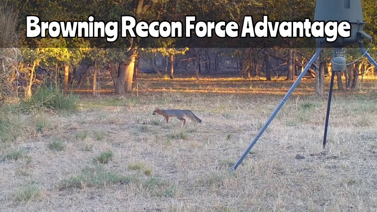 Deer Feeder Cam #1: Browning Recon Force Advantage Trail Camera Nov. 15 ...
