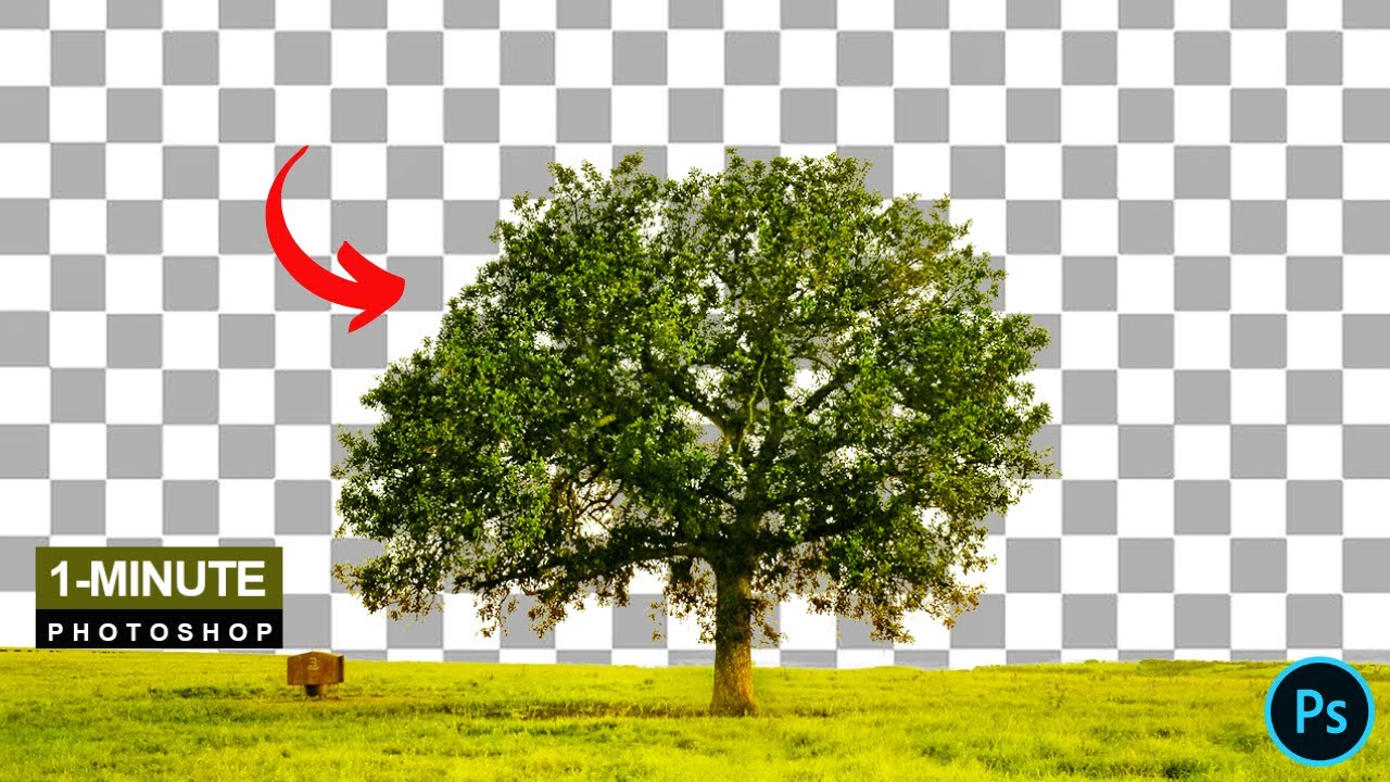 1-Minute Photoshop | How to Cut Out Tree in Photoshop - YouTube