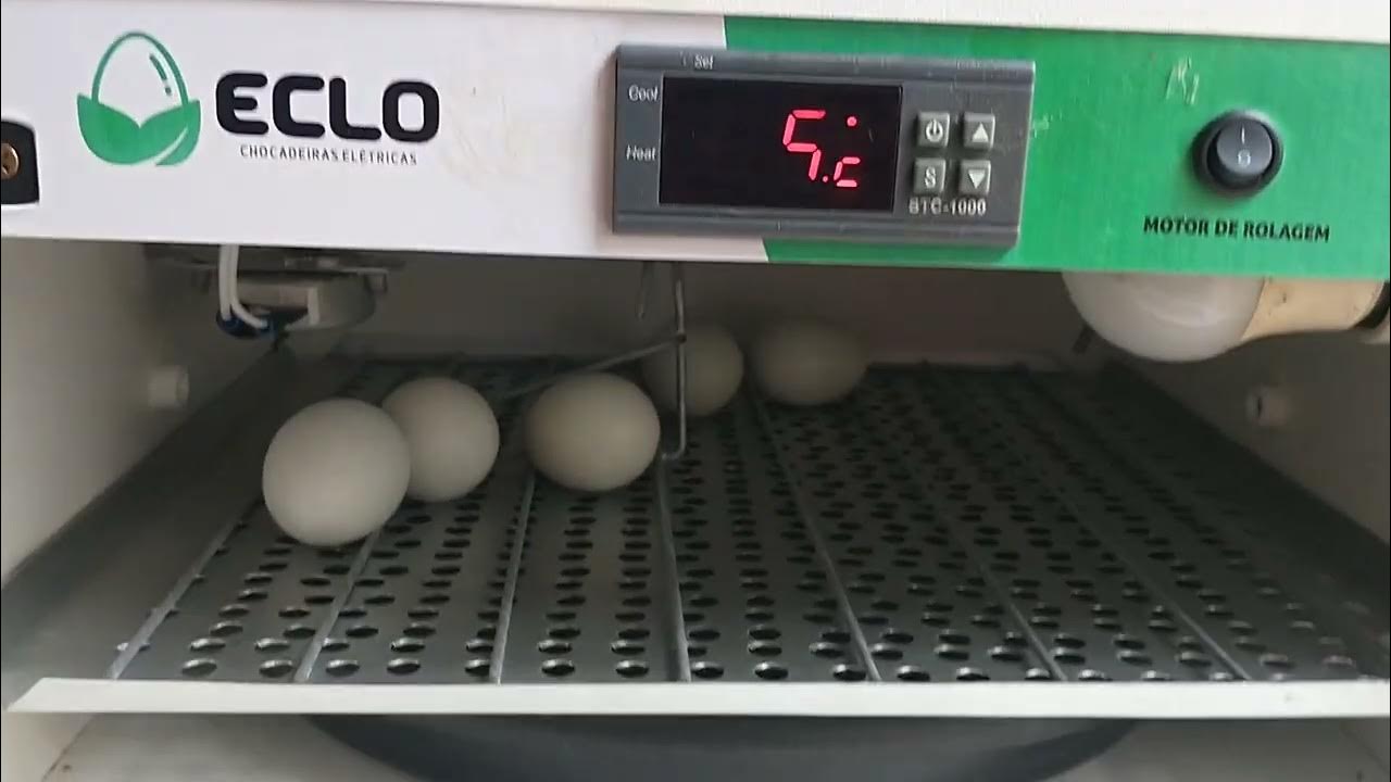 ECLO Chocadeiras elétricas - YouTube