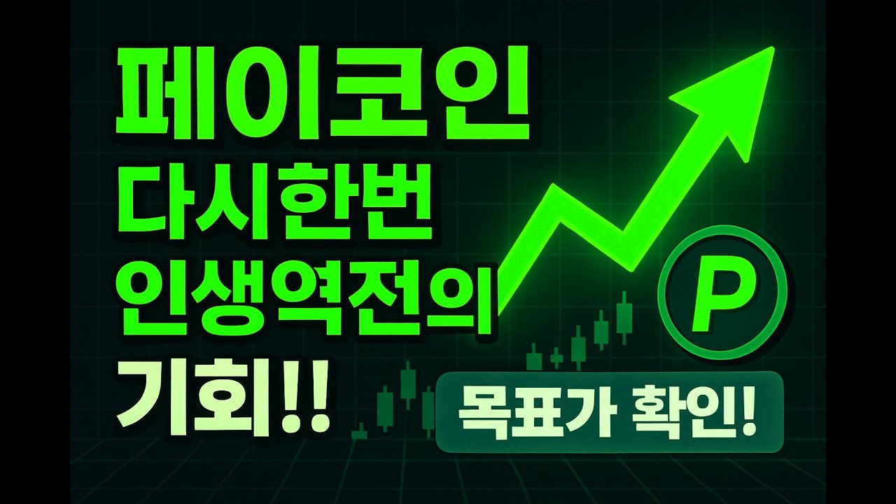 페이코인 다시 한번 인생역전의 기회 페이코인 페이 비트코인 이더리움 리플 투자 밈코인 급등코인 급등주 도지