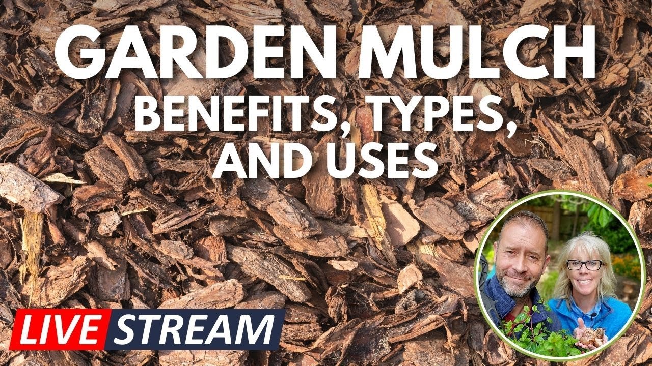 🤔 Live | Garden Mulch - Benefits, Types, and Uses☕ #Live #mulching # ...