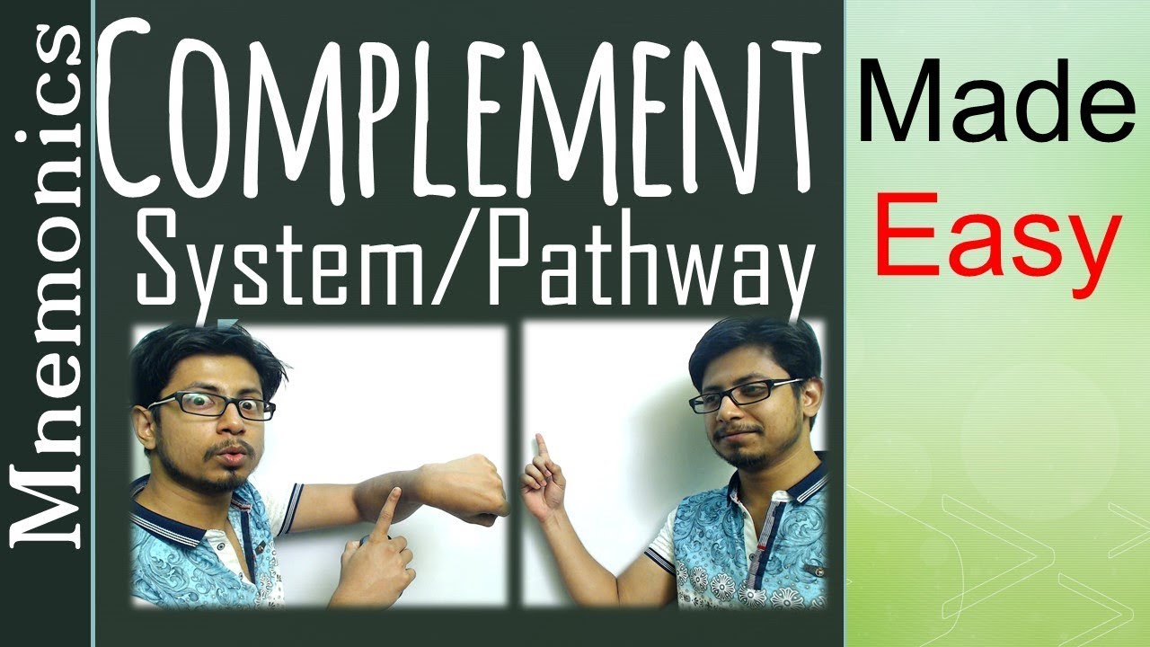 Complement pathway made easy - YouTube
