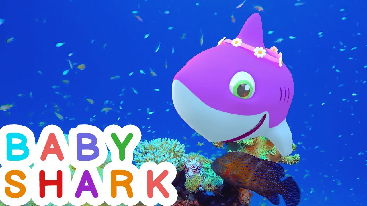 Baby Shark - doo doo doo 4K Cartoon Nursery Rhymes & Songs for Children ...
