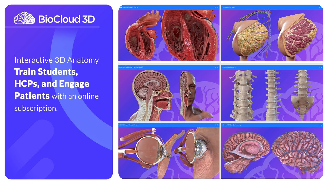 Interactive 3d Anatomy Anatomy 3D Atlas