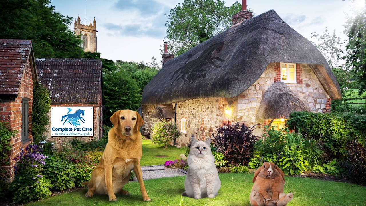 COMPLETE PET CARE COMMERCIAL - YouTube