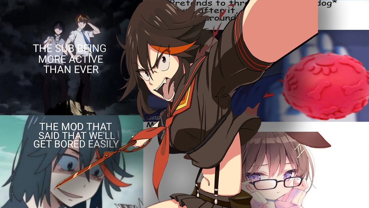 ANIME MEMES V21 - Something Seems Fishy... - YouTube