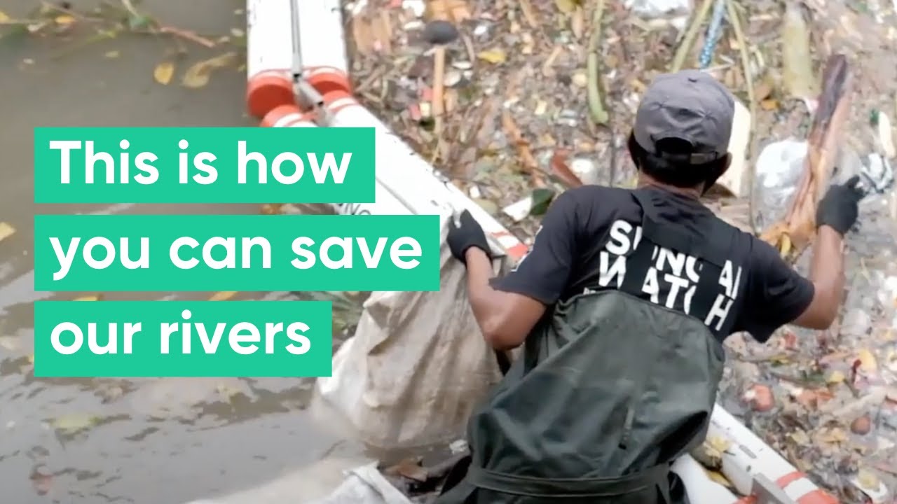 Why river cleanups are important | Meet Sungai Watch - YouTube