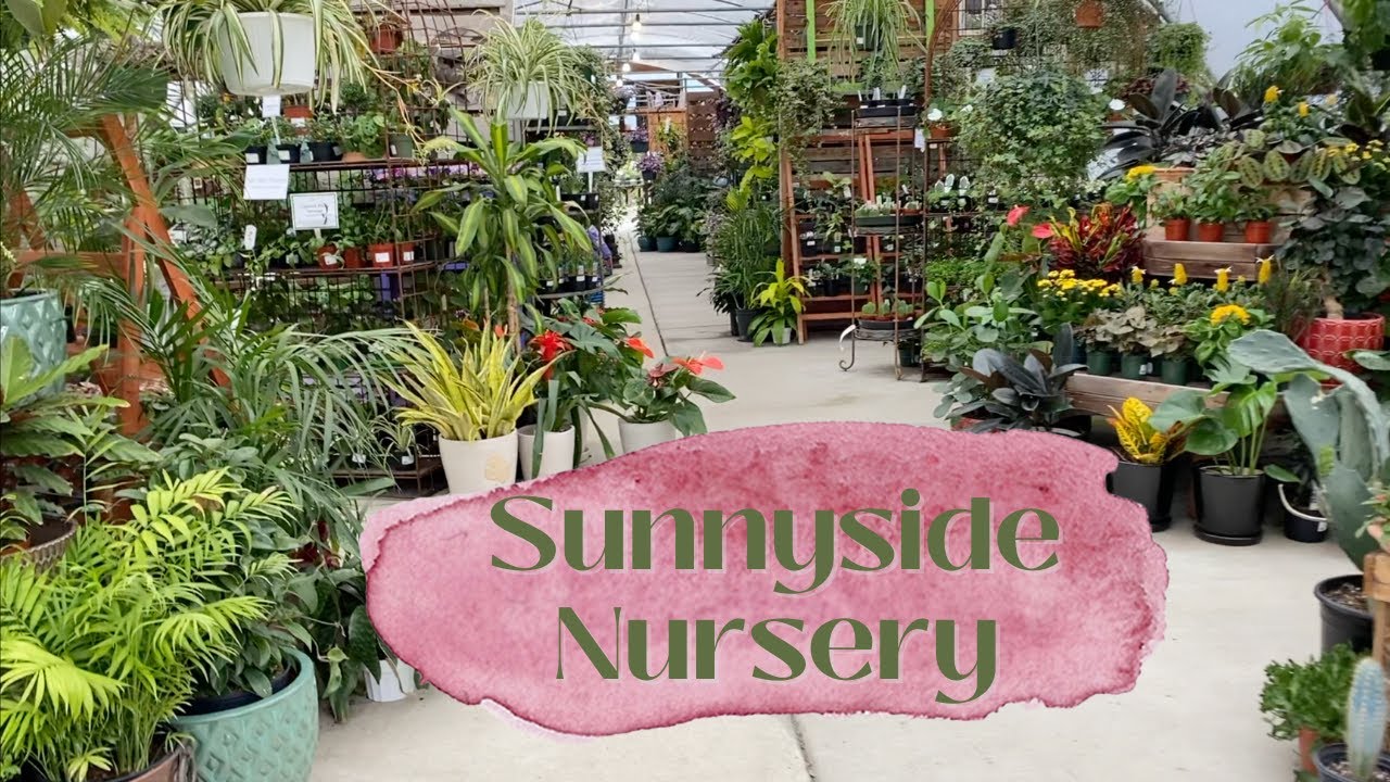 Sunnyside Nursery | Seattle Nurseries - YouTube