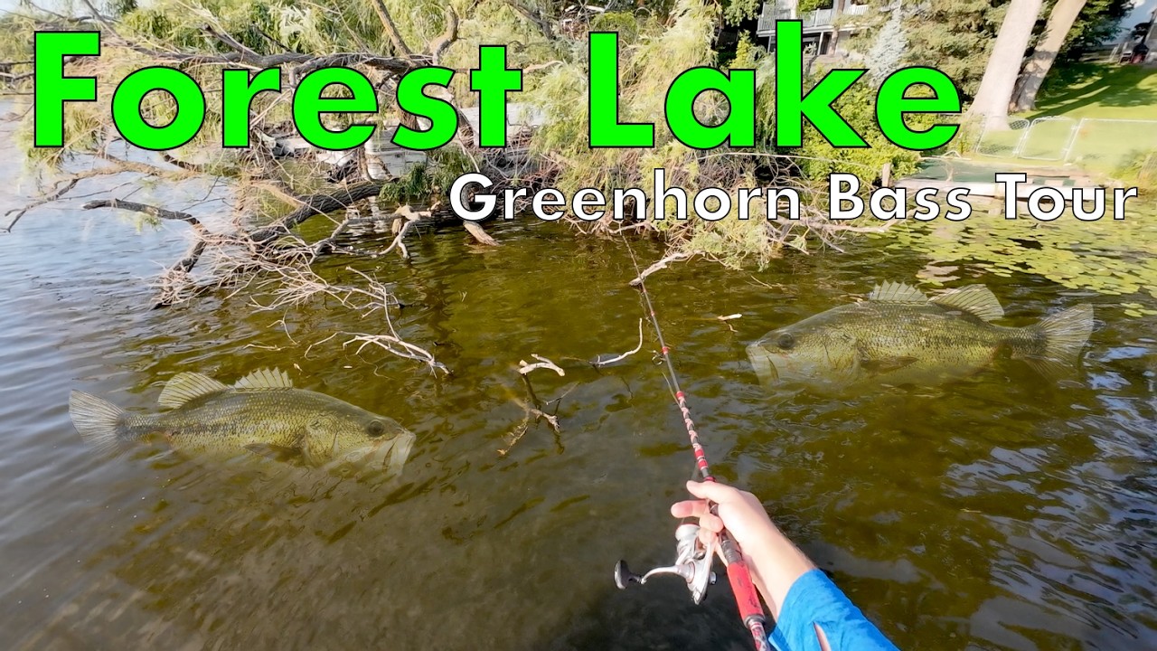 Greenhorn Bass Tour 2025: Forest Lake - YouTube