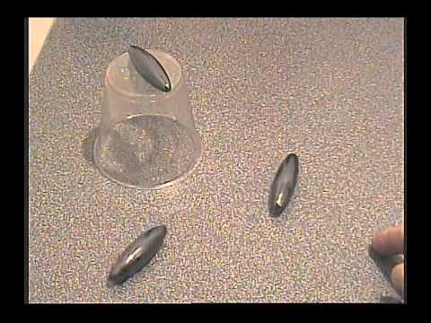 Snake Eggs Magnets Fun - YouTube