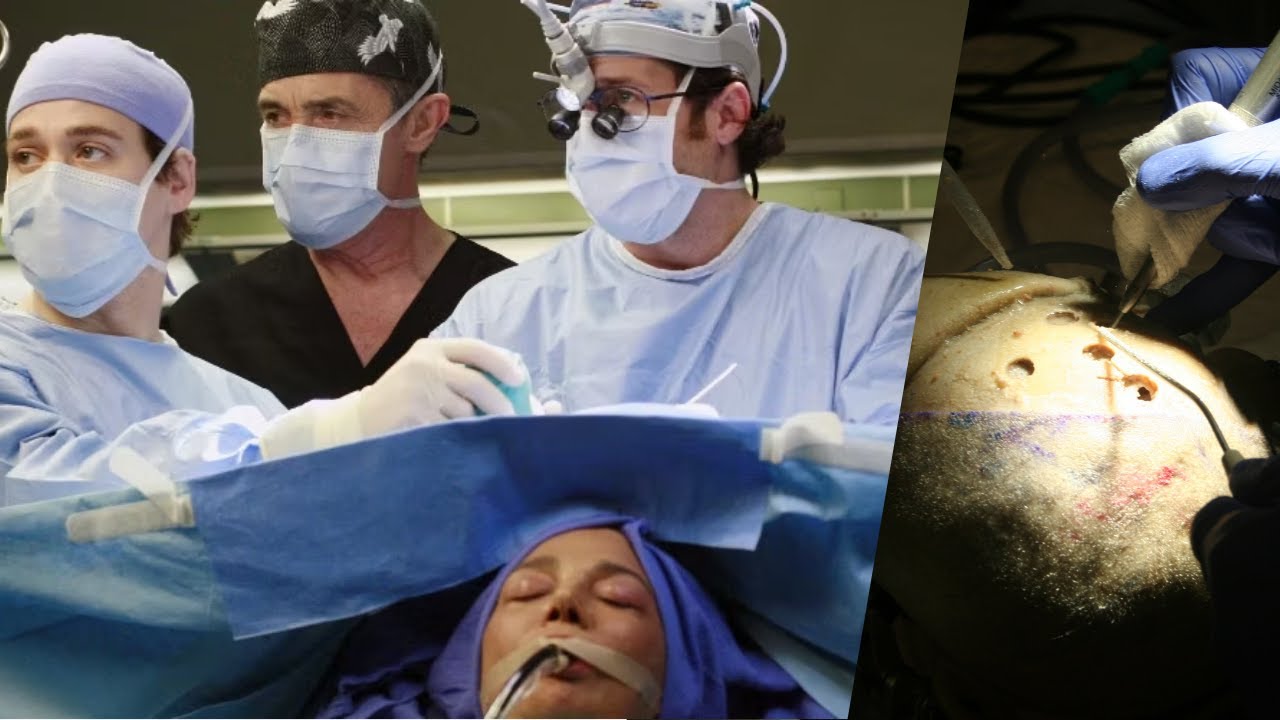 Indulge in Knowledge: Brain Anatomy Zero to Master (Part 2) - YouTube