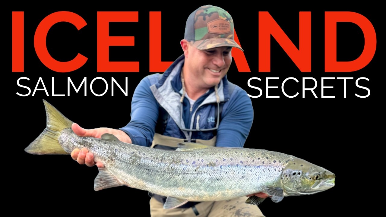 Fly Fishing for Atlantic Salmon in Iceland: Top Tips, Tactics & Must ...
