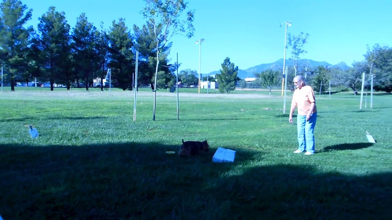 Training the Send to Jump with a Target - YouTube