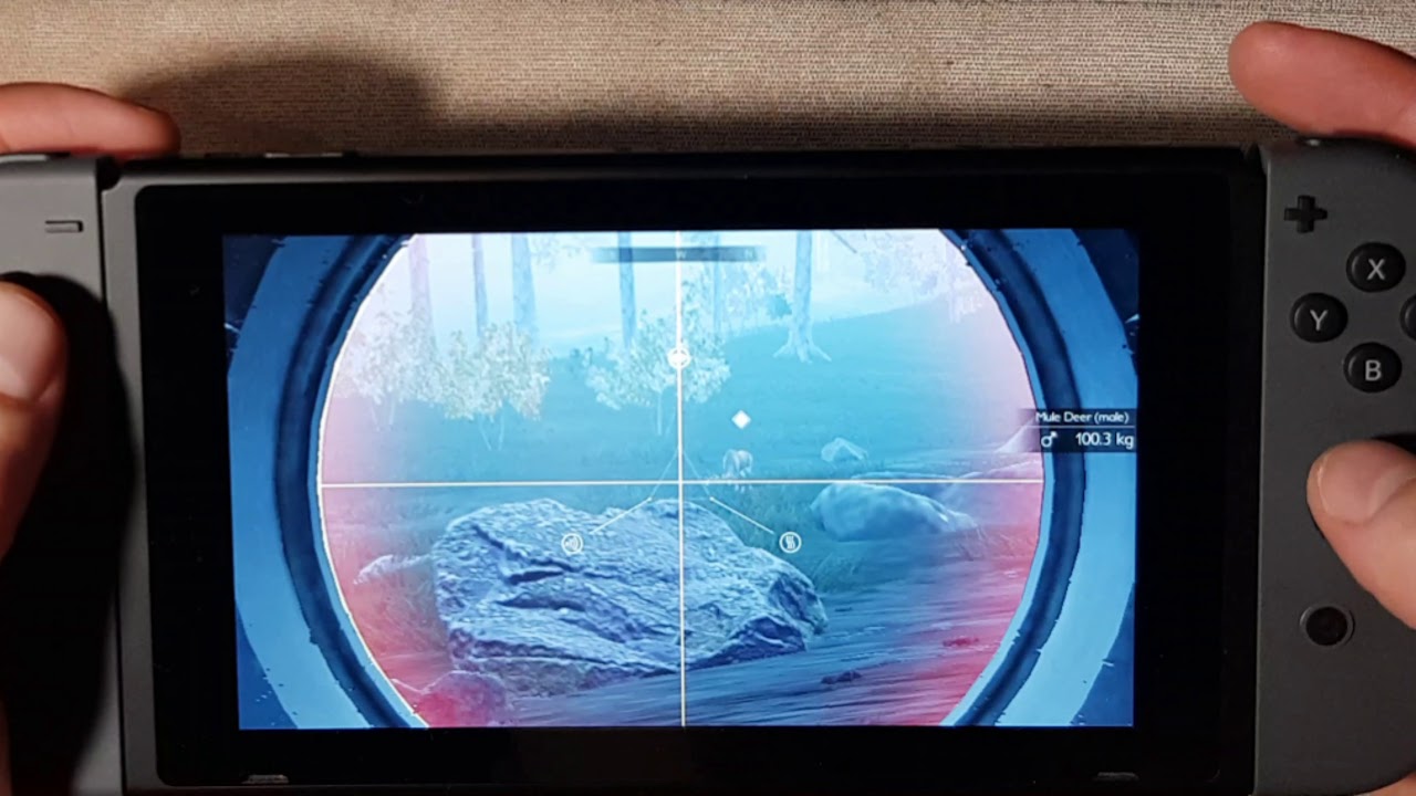 Hunting Simulator - Nintendo Switch GamePlay - YouTube