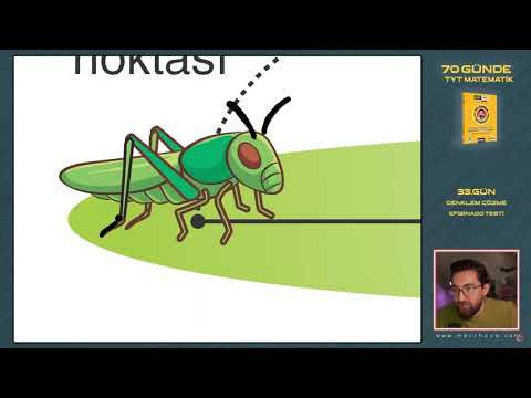 Mert Hoca Çekirgeleri Yorumluyor