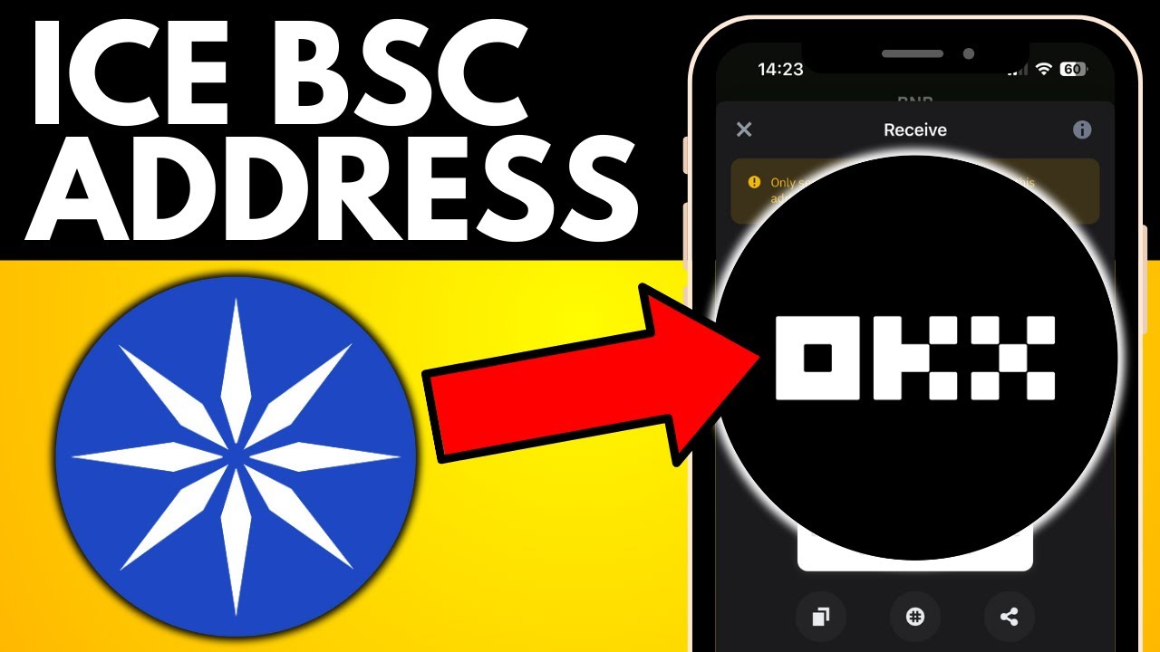 How To Add ICE BSC Contract Address Into OKX Wallet - YouTube