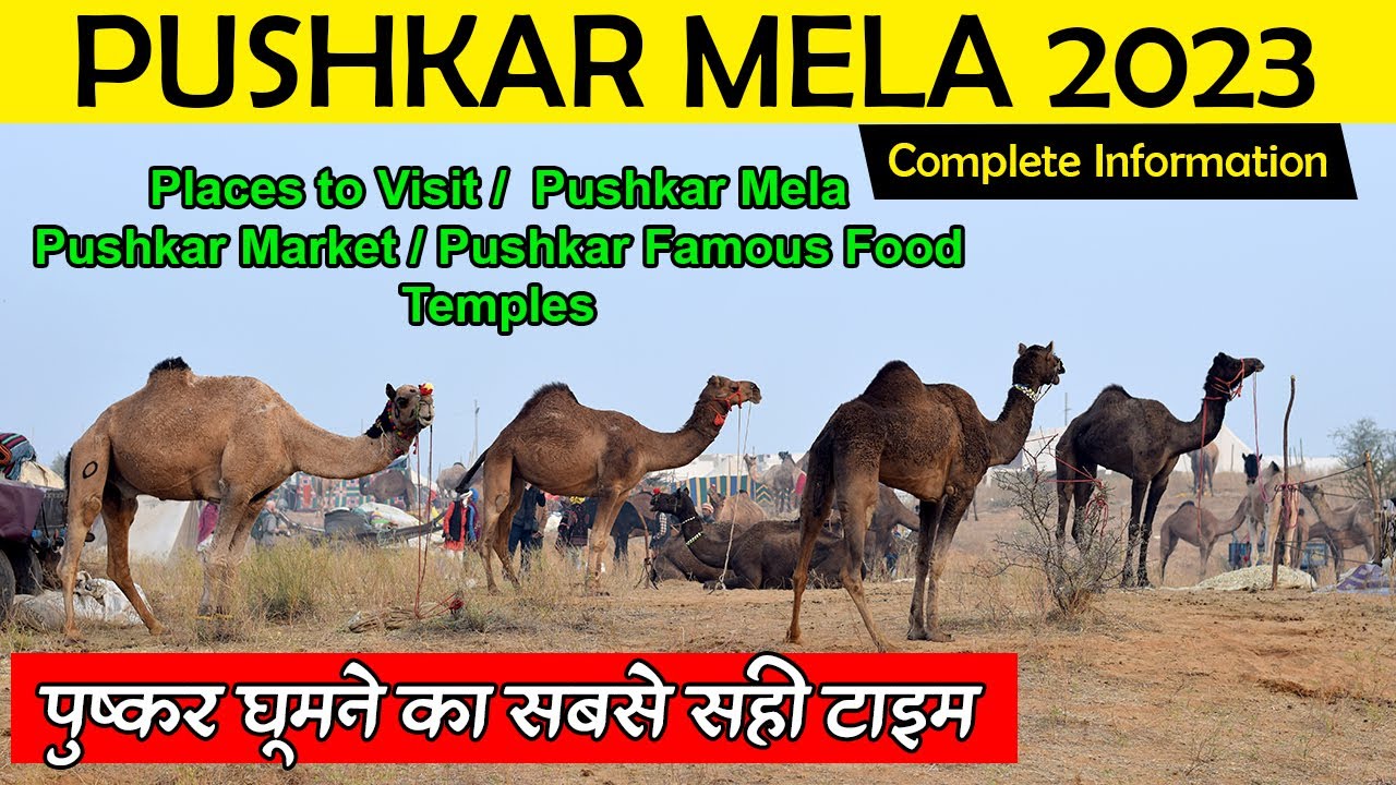 Pushkar Mela 2023 (Pushkar Camel Fair Mela) 2023 – पुष्कर मेला 2023 – Tourists Places Pushkar ...