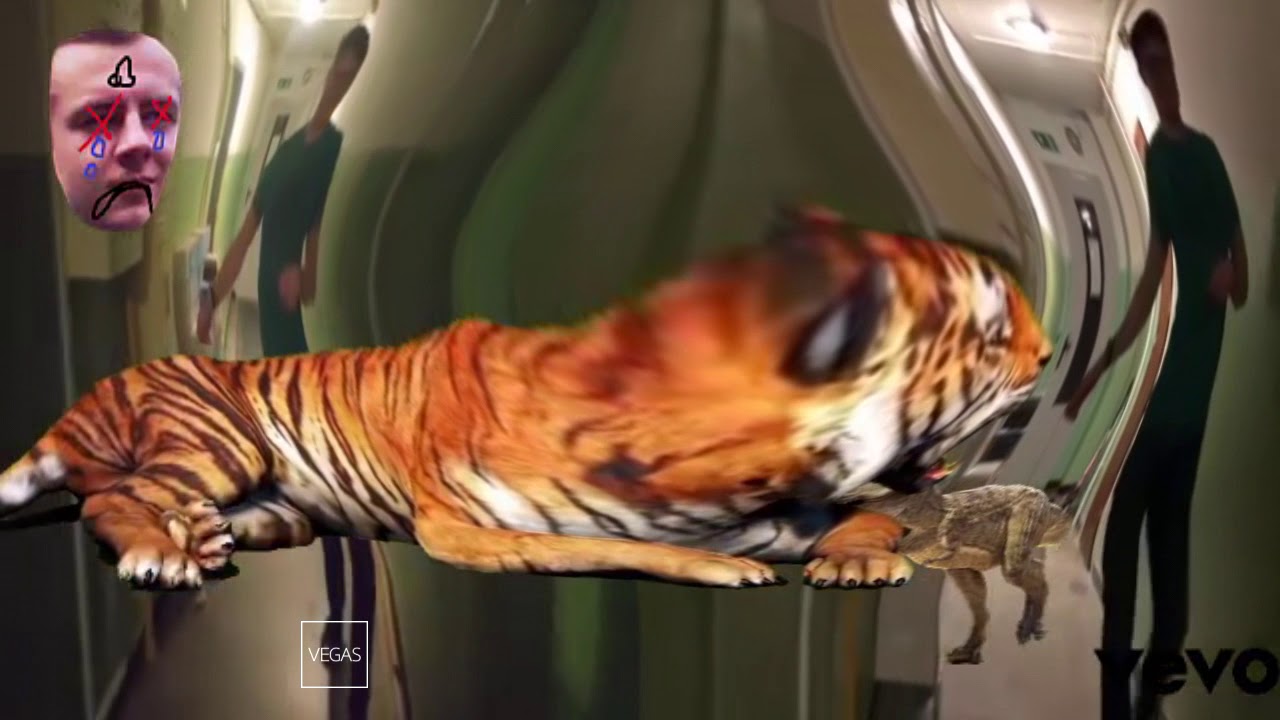 $t4r0nid4$ - Diss na Jefix'a 4 gestosc - YouTube