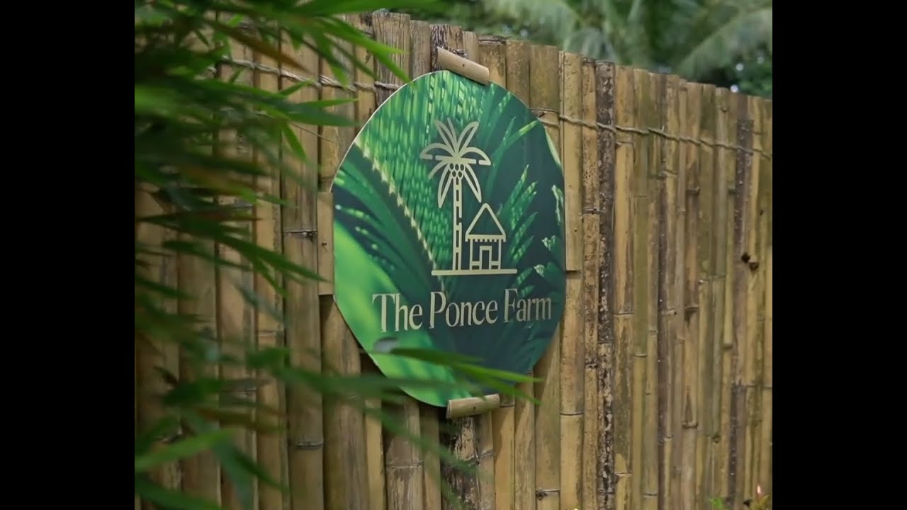 The Ponce Farm - YouTube
