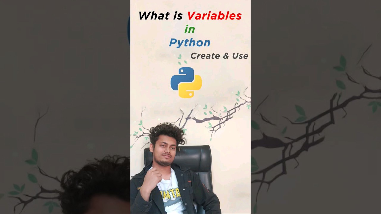 What Is Variable In Python How To Create Variable In Python What Is Variable In Python How To Create Variable In Python