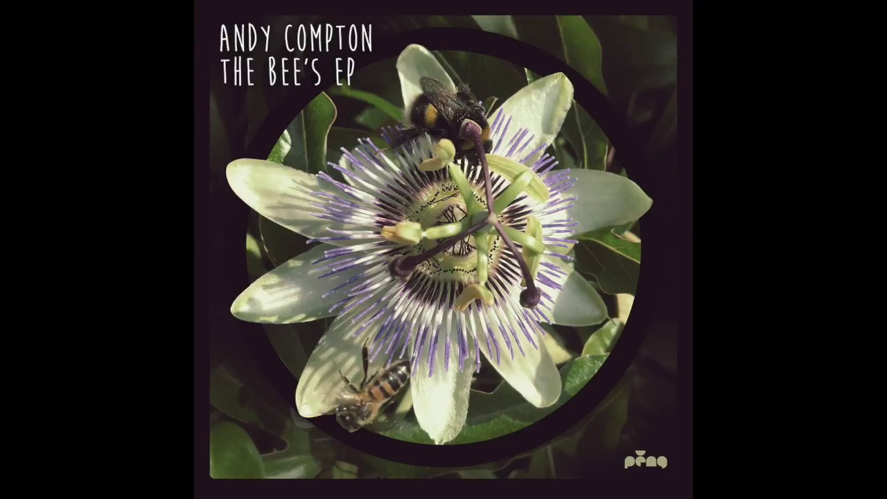 DJ Tune (Dedication) - Andy Compton feat. Anders Olinder - YouTube