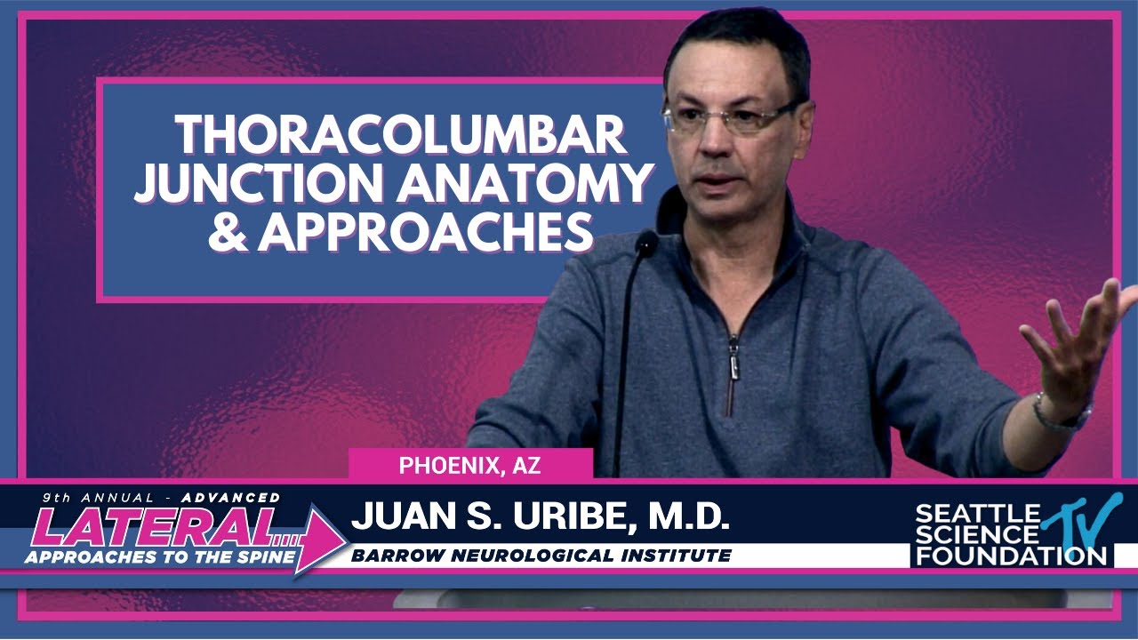 Thoracolumbar Junction Anatomy & Approaches - Juan S Uribe, M.D. - YouTube