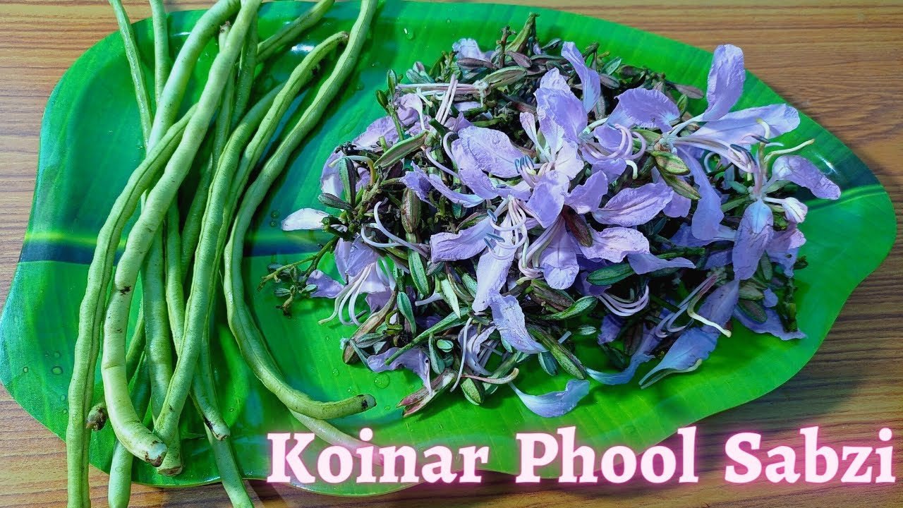 Koinar Phool & Barbati ki Sabzi #village #villagefood - YouTube