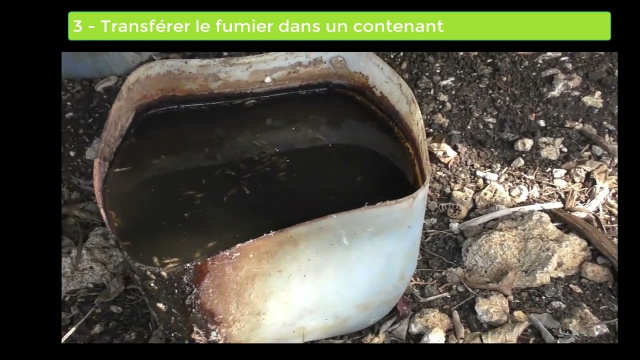 Tutoriel : Le vermicompostage (lombricompostage) - YouTube