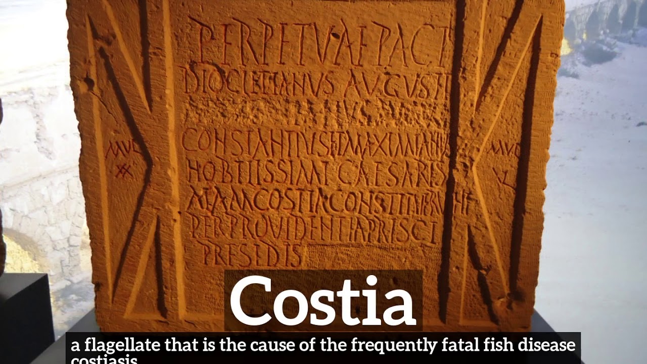 What is Costia? | How Does Costia Look? | How to Say Costia in English ...