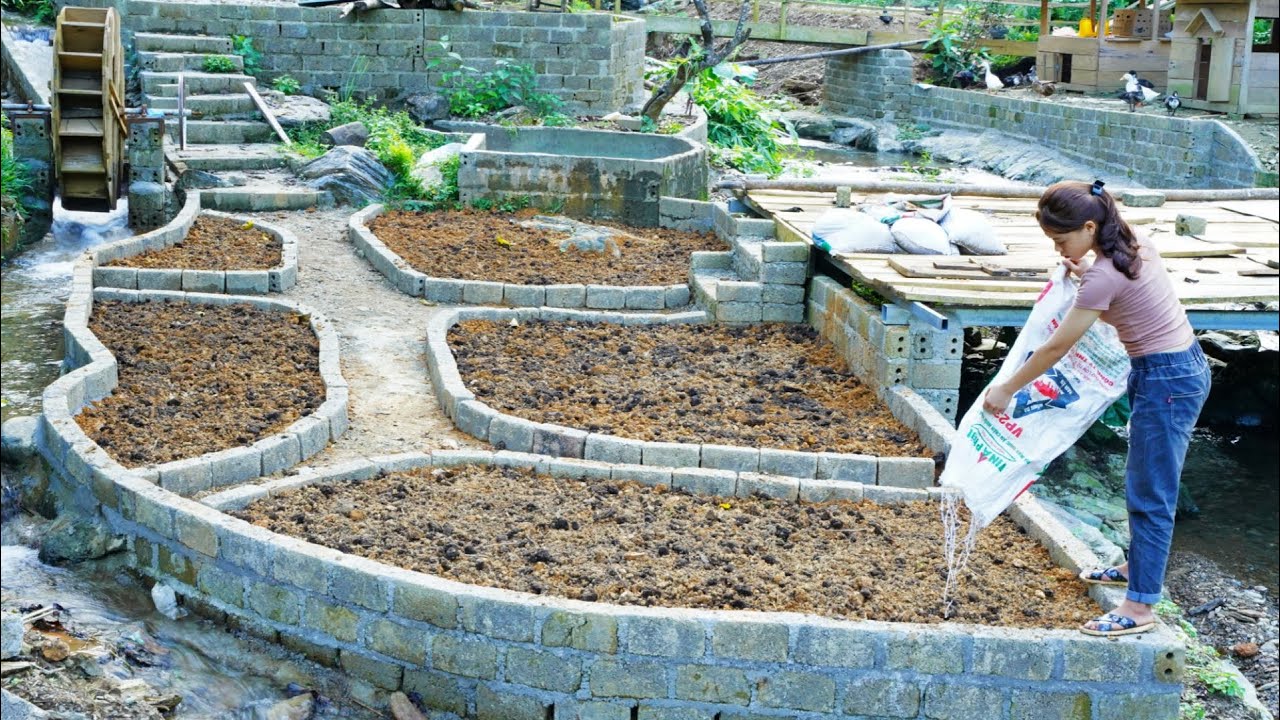 sowing seeds, fertilizing, growing vegetables, building a farm, - 200 ...