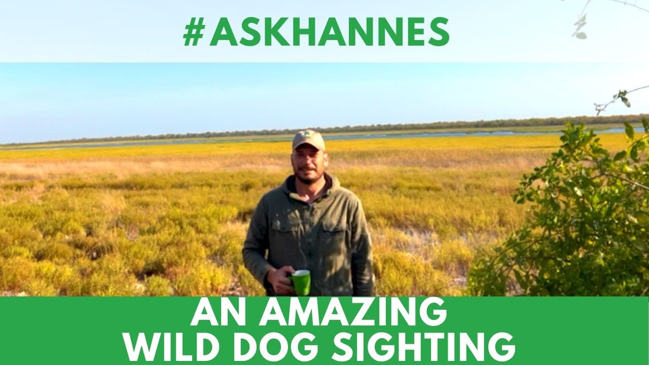 Have You Seen Anything Amazing From The Air? - YouTube