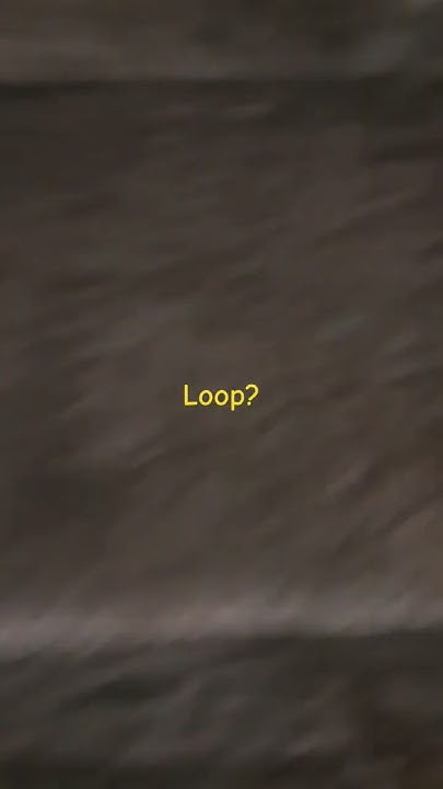 #loop loop - YouTube