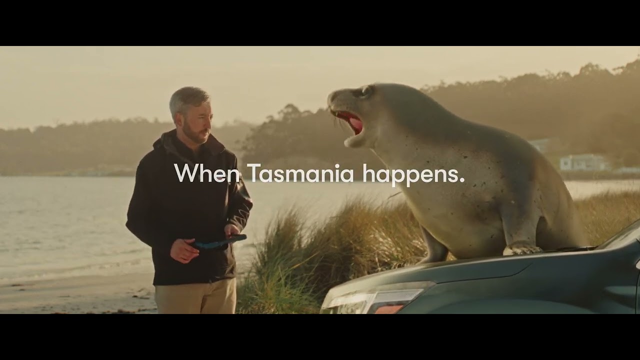 When Tasmania happens - RACT Home, Contents and Car Insurance ad - 9 ...