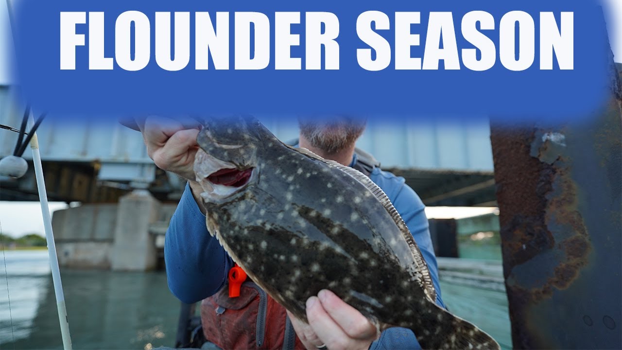 WRC TO OPEN FLOUNDER SEASON IN DEFIANCE OF MFC DECISION - YouTube